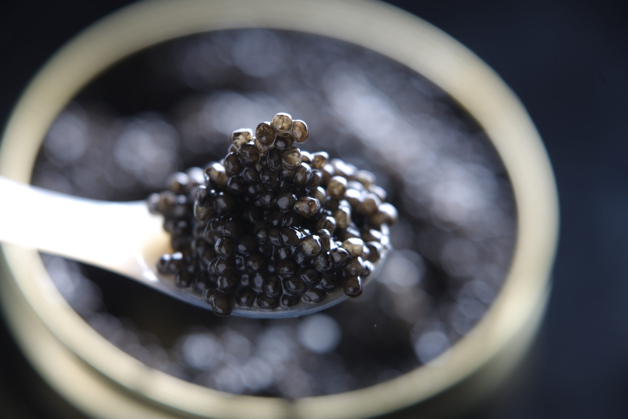 OONA: caviar from the heart of the Swiss Alps - The Chic Icon
