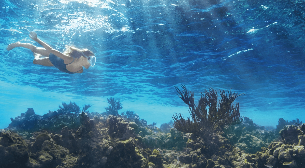 La Mer: a symbol of luxury - The Chic Icon