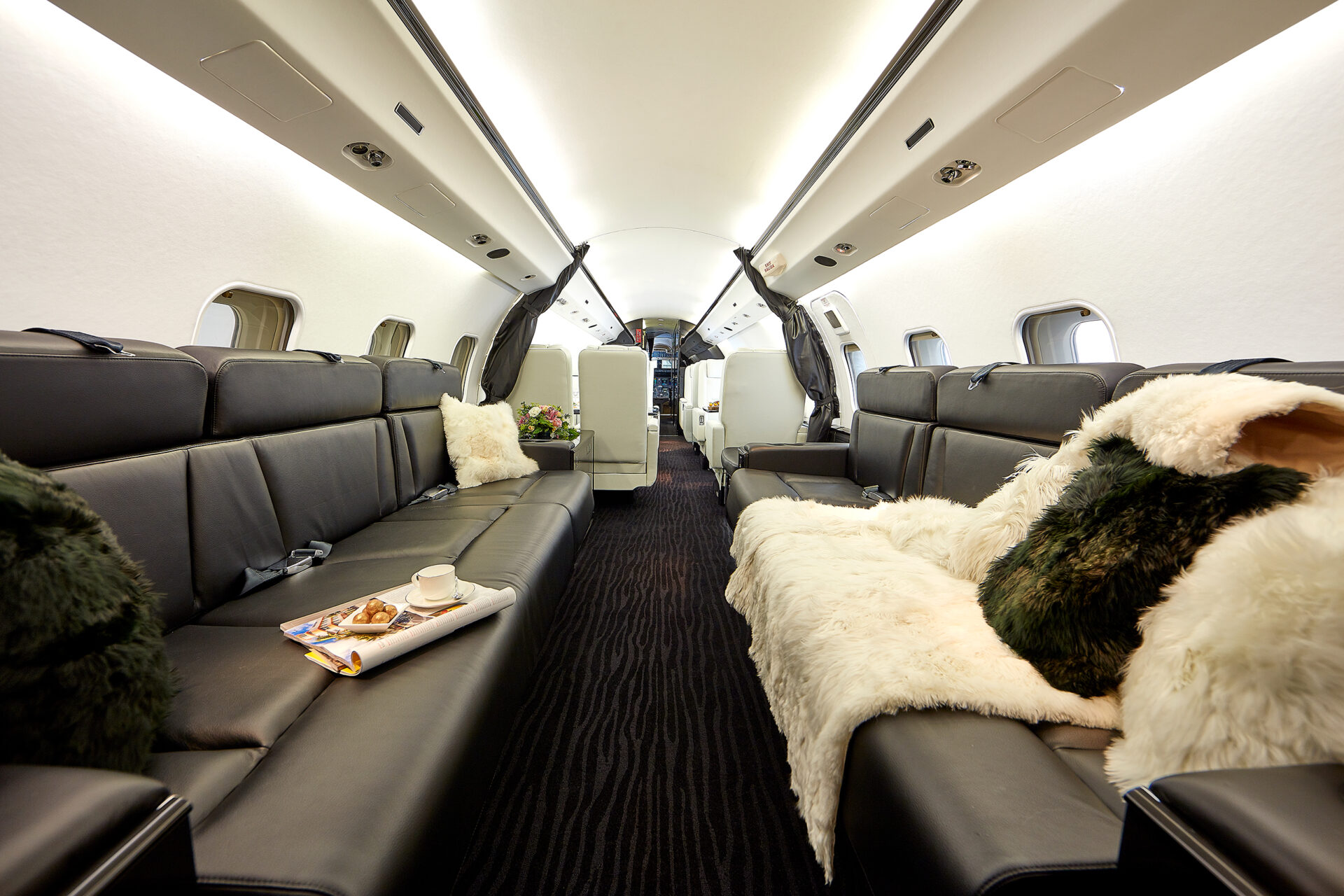 Palace in the Sky: Private Jet Designs - The Chic Icon