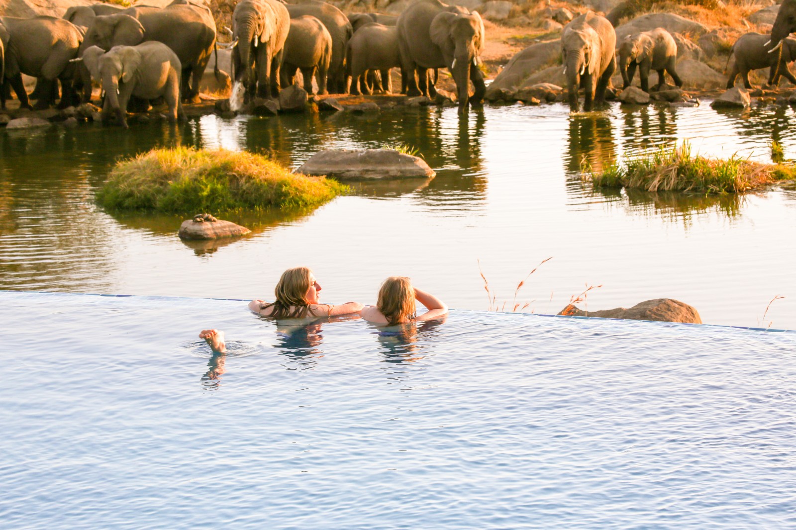 The Best Safari Destinations in the World - The Chic Icon