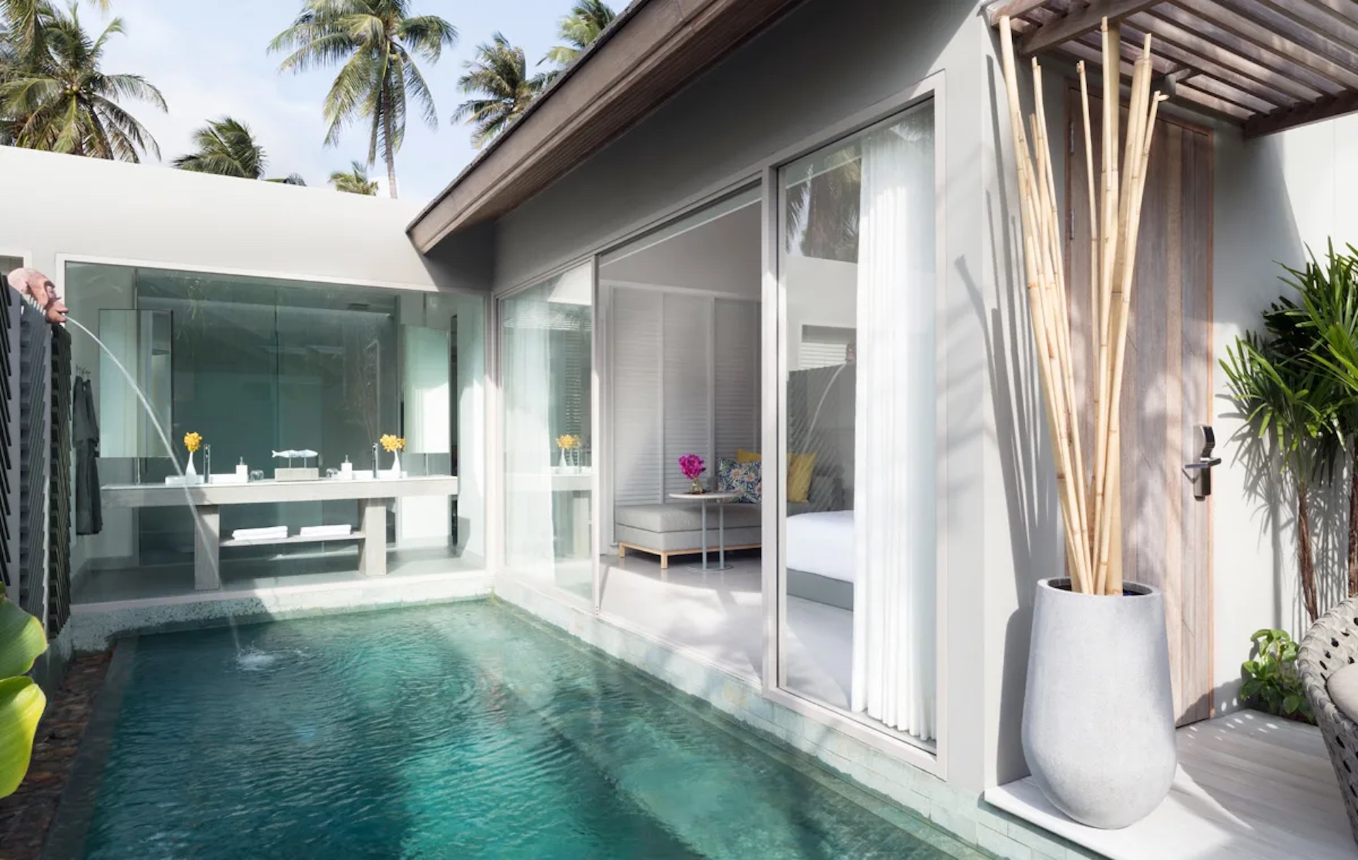 Discovering Paradise: An Island Escape at the Avani + Samui Resort ...