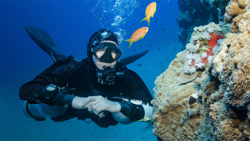 Scuba Diving and Snorkeling on the East Coast of UAE - The Chic Icon