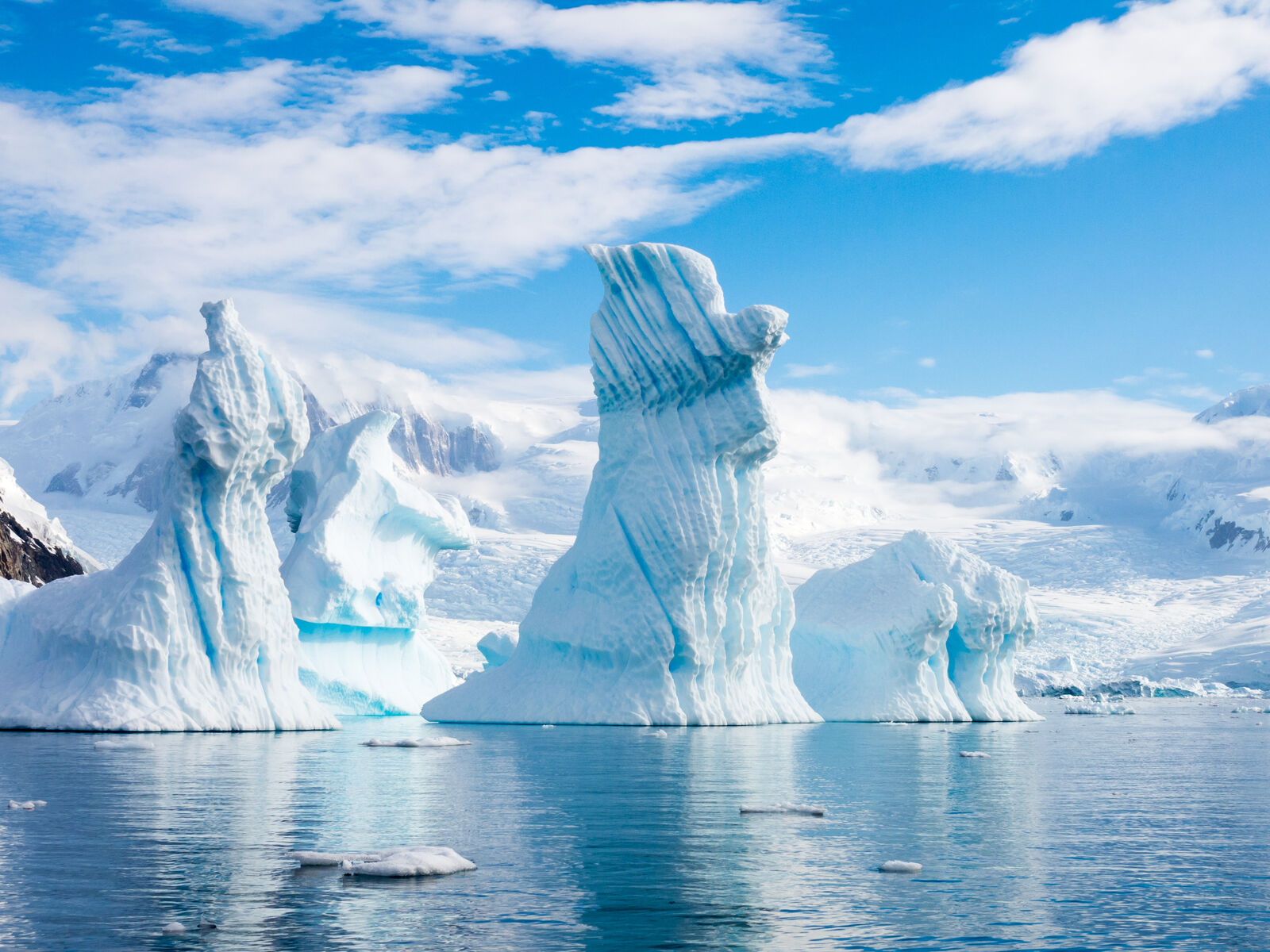 Why You Should Visit The Antarctic? - The Chic Icon